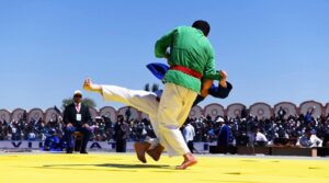 Tout savoir sur le Sambo - Total Sambo Aquitaine